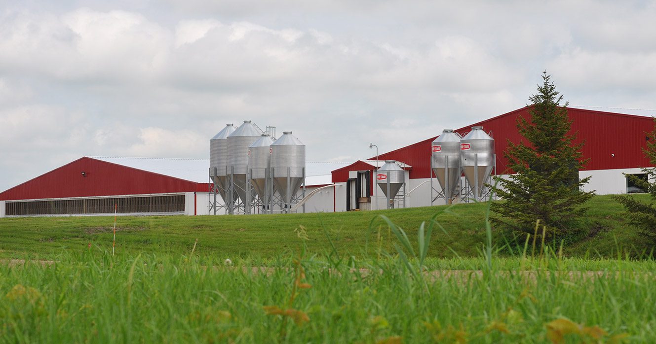 Production Records - Suidae Health & Production