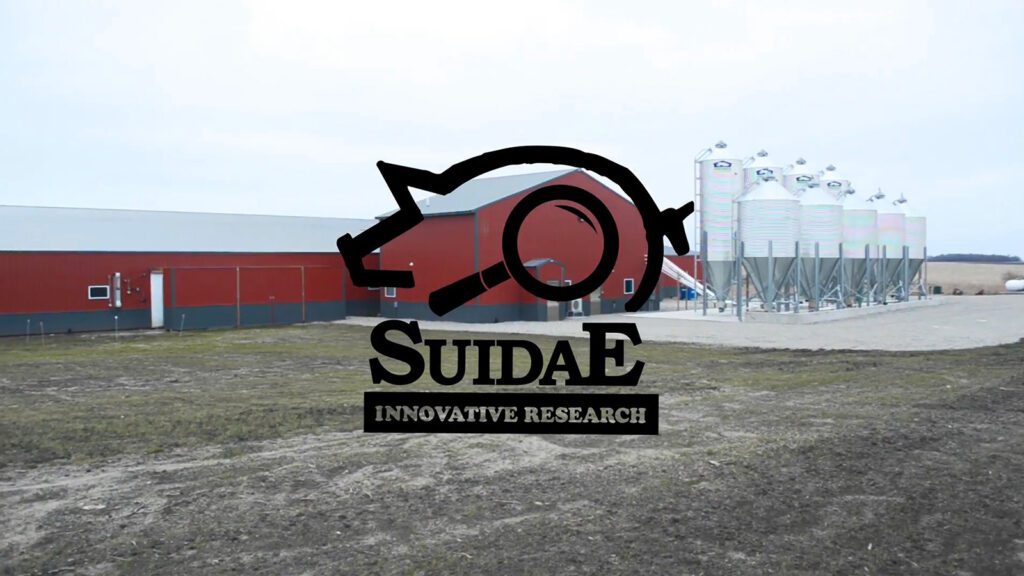 Suidae Innovative Research - Suidae Health & Production