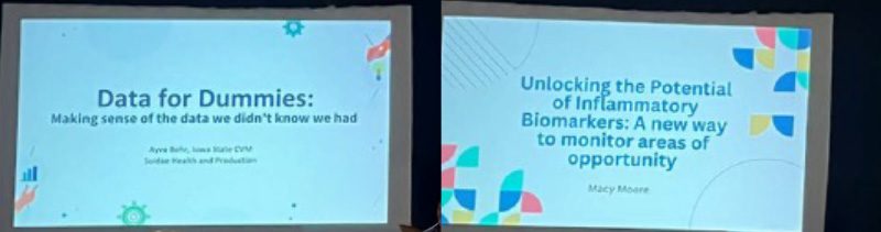 2024 Student Summer Intern Projects - Suidae Health & Production